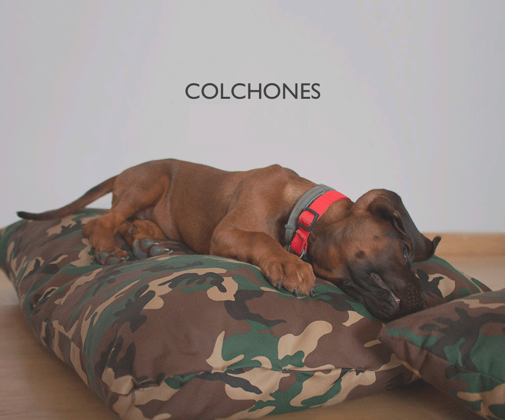 COLCHON PARA PERROS - Happy Swallow - Camas para perros - Camas perros